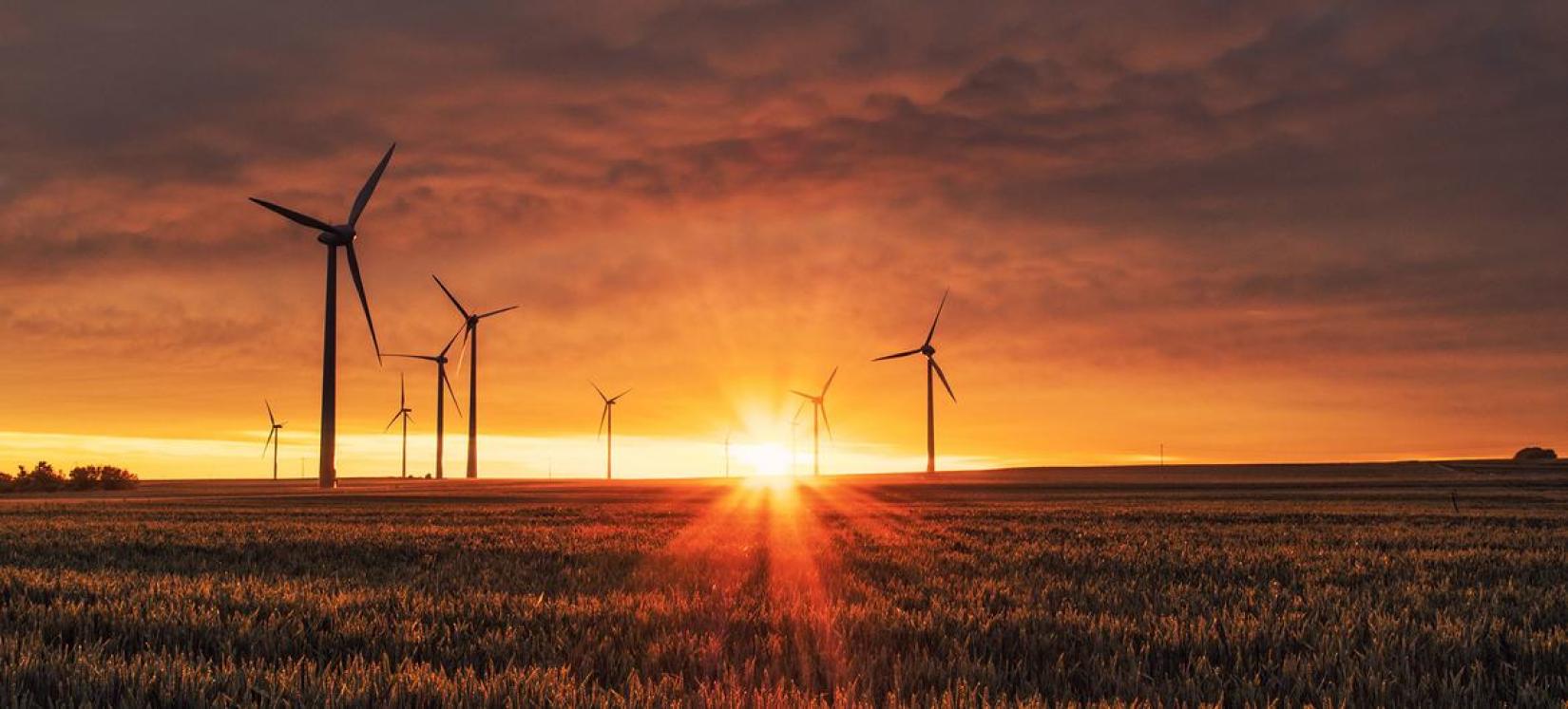 Conheça as principais conclusões do Relatório Estado do Clima